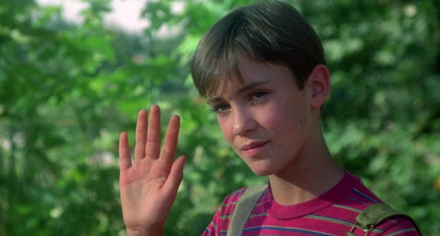 Stand by Me Cast: Every Actor and Character in the 1986 Movie